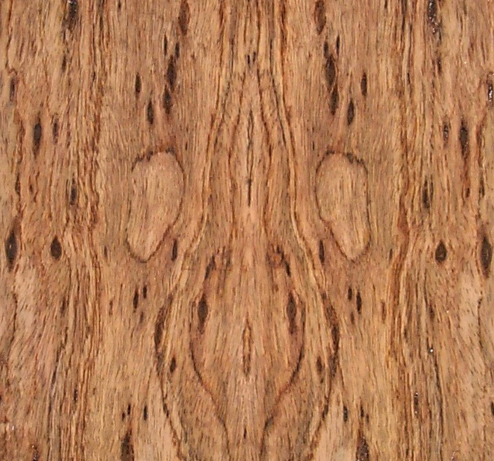 Etimoe – Booth Veneers